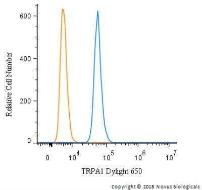 TRPA1 Antibody [DyLight 650] (NB110-40763C): Novus Biologicals